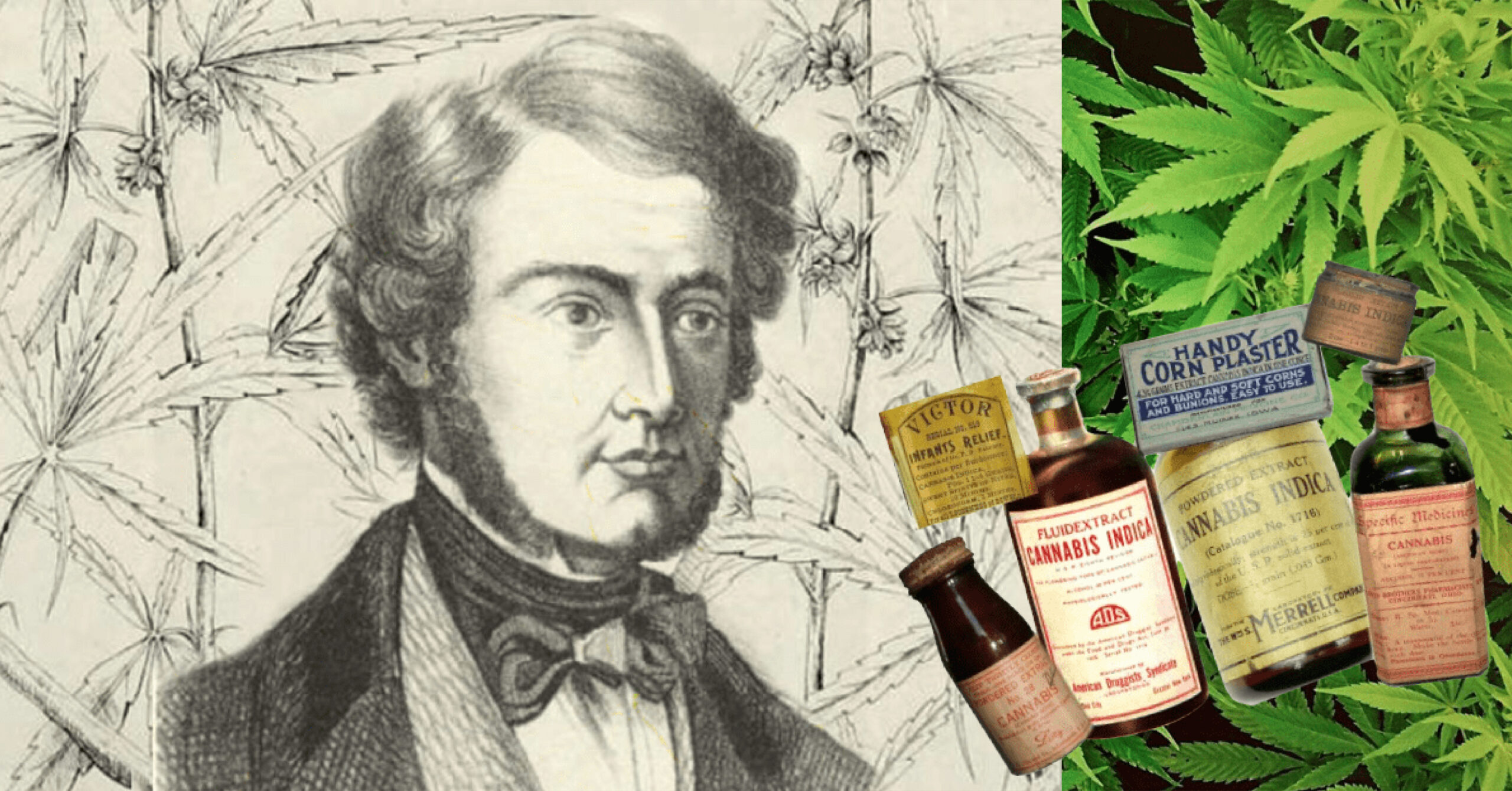 From Drugstore to Drug Den and back? The Resurgence of Medical Cannabis ...